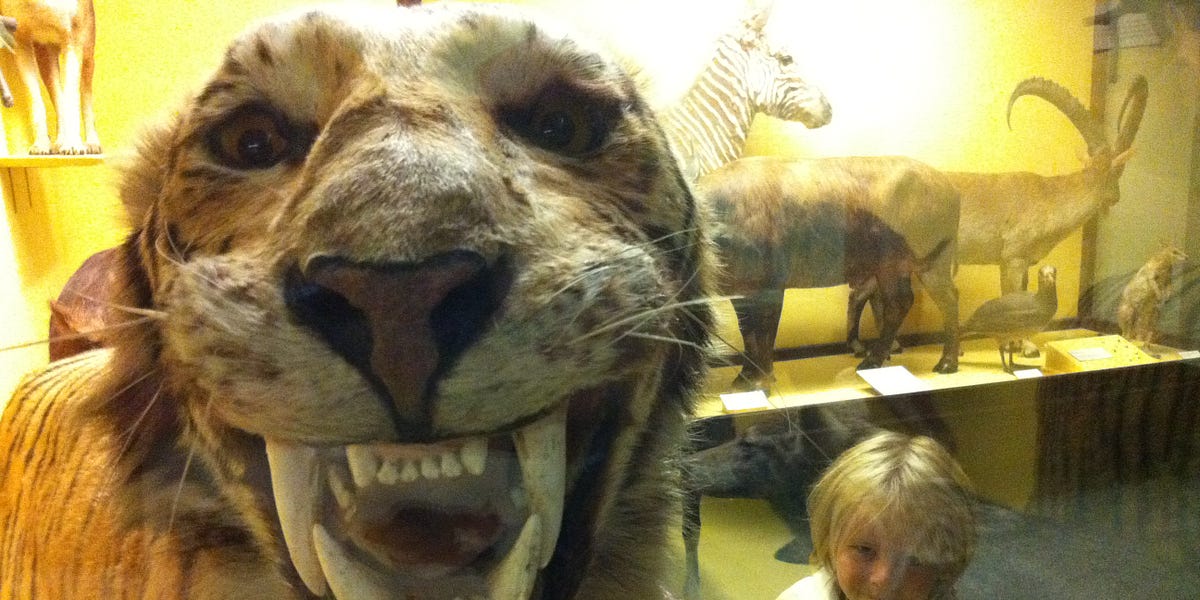 Resonating with the Universe - by Lisa Verlo