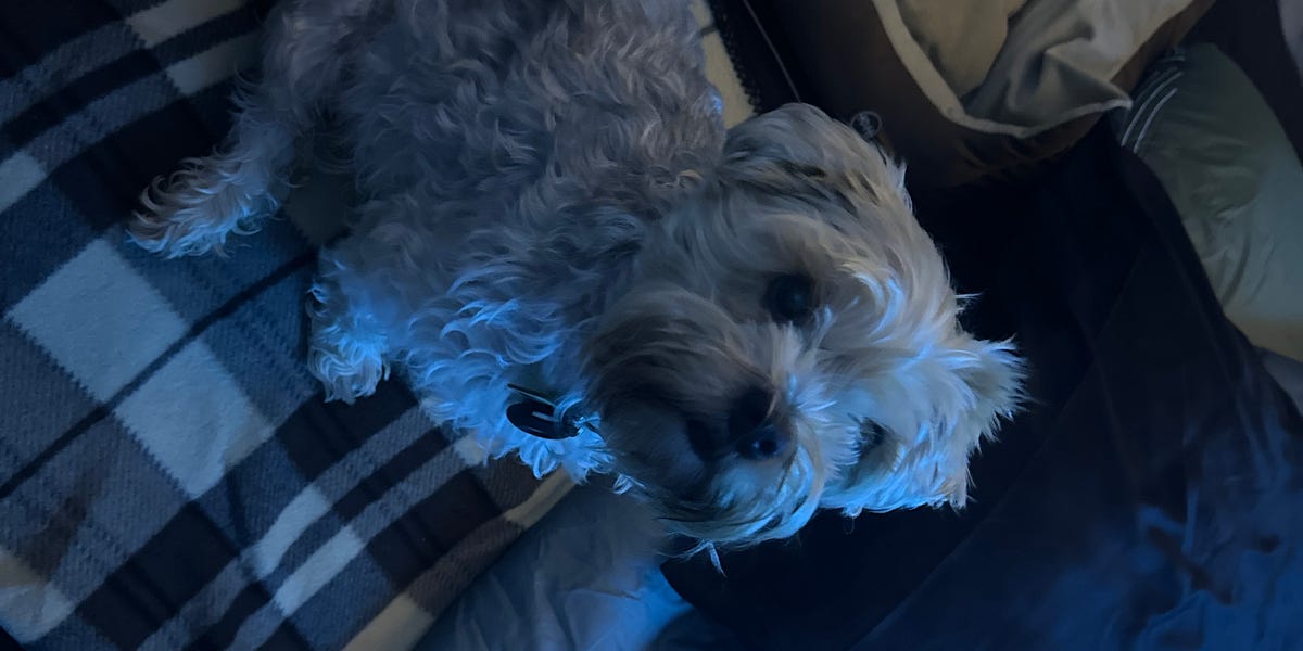 Sick again… - Harold Finch’s Substack