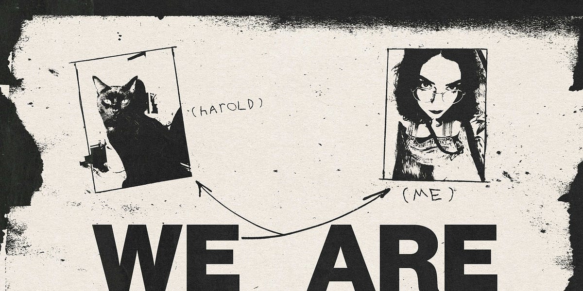 MOVING SALE - by Piper Ferrari - Piper’s Substack