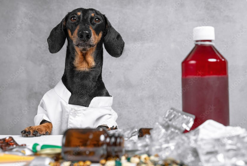 SPX ES SPY Plan for 11/6