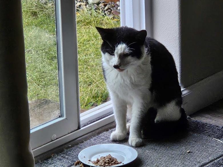 Now About Culvers... - by Macrobius - The Saturnalia