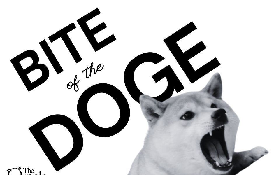 🔮 Bite Of The DOGE - The Oracle by Polymarket