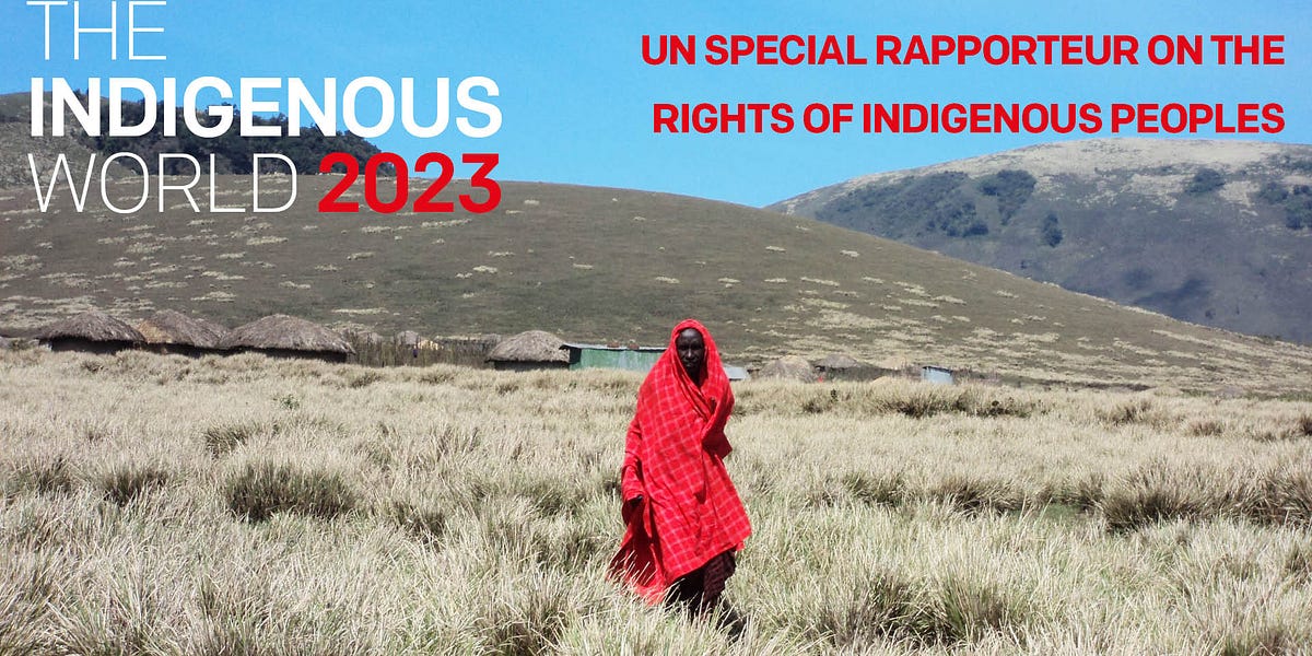 The Indigenous Rights Movement