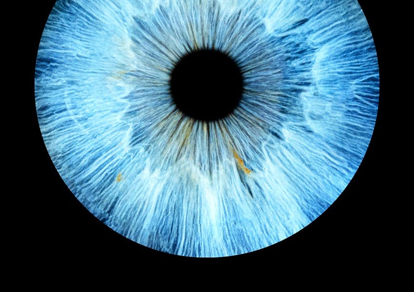 Create Dangerously - by Aya - Pygmaion