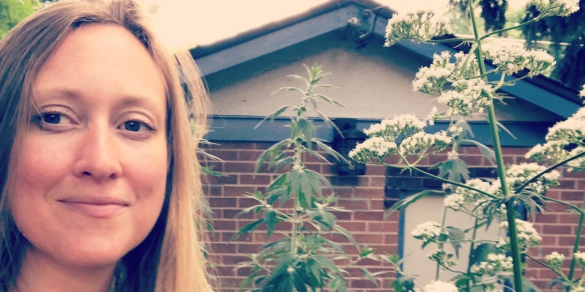 A quick update to make your life easier :) - by Juniper