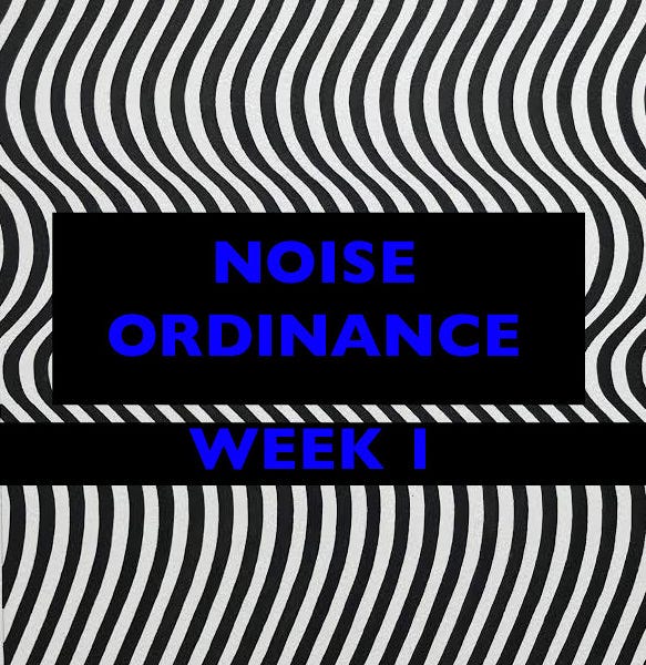 NOISE ORDINANCE - WEEK 1 - rothhaus