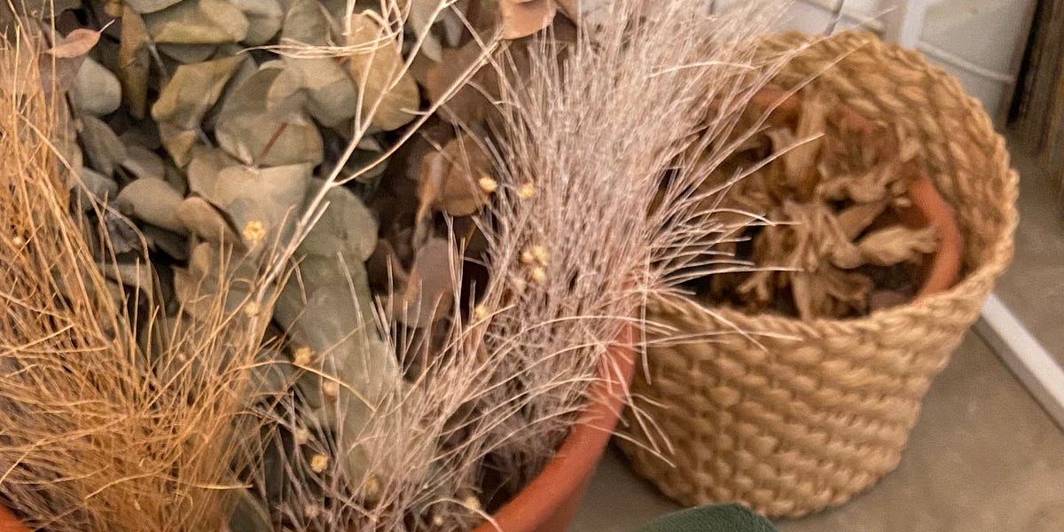 falar de libido nem sempre é sexy - Clariana Leal