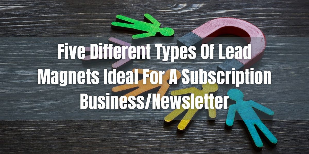 Five Different Types Of Lead Magnets Ideal For A Subscription Business ...