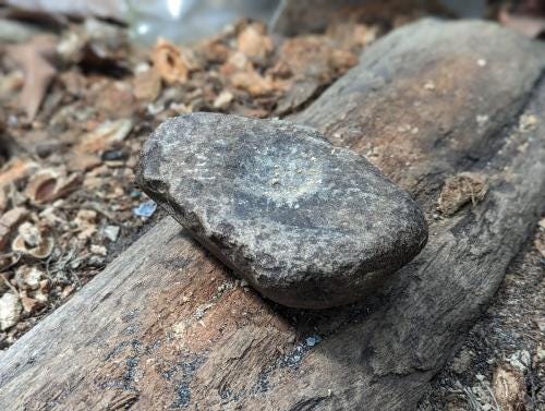 The Monkey Stone Age: A Glimpse into Primate Archaeology