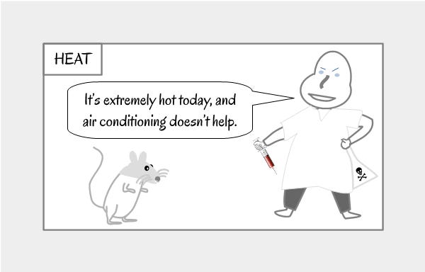 Heat - Rat Says