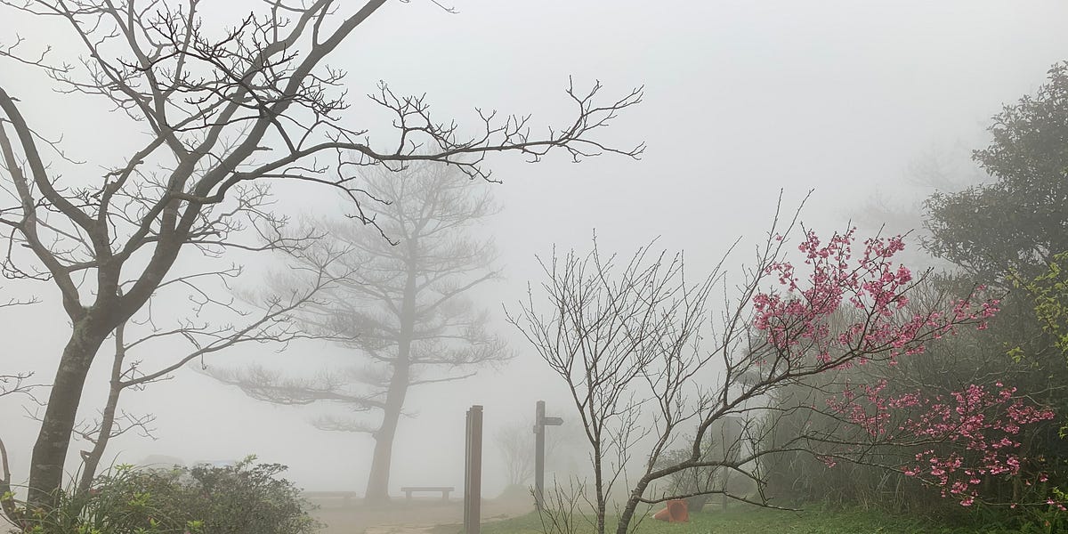 Peace and Impact - by Jude Heaton - the blog of changes