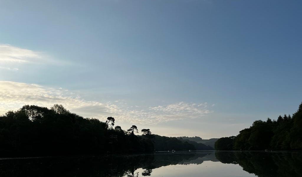 The Estuary - by Barney Hallawell - Barney’s Substack