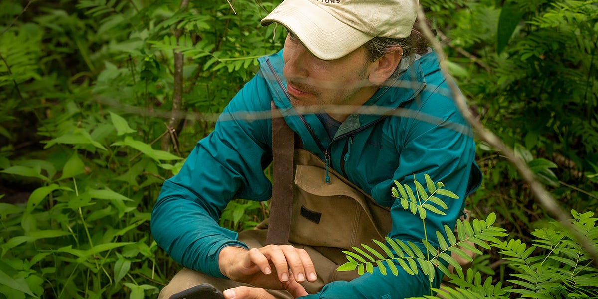 The Nature Beat - by Gabe Popkin - The Nature Beat