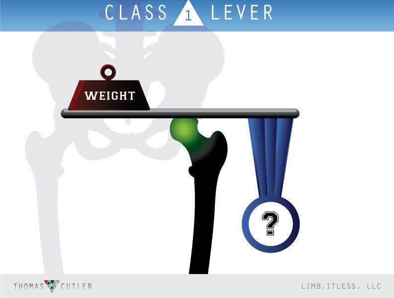 Politely Introducing a Massive Discovery - by Thomas Cutler