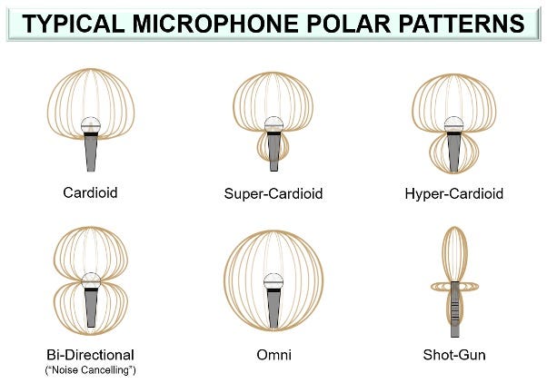 Understanding Microphone Directional Types: A Guide To Polar Patterns