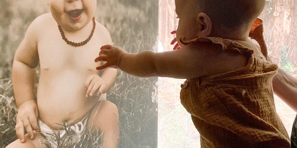 The Spider and the Fly - by Mikayla Dawn Chaparro