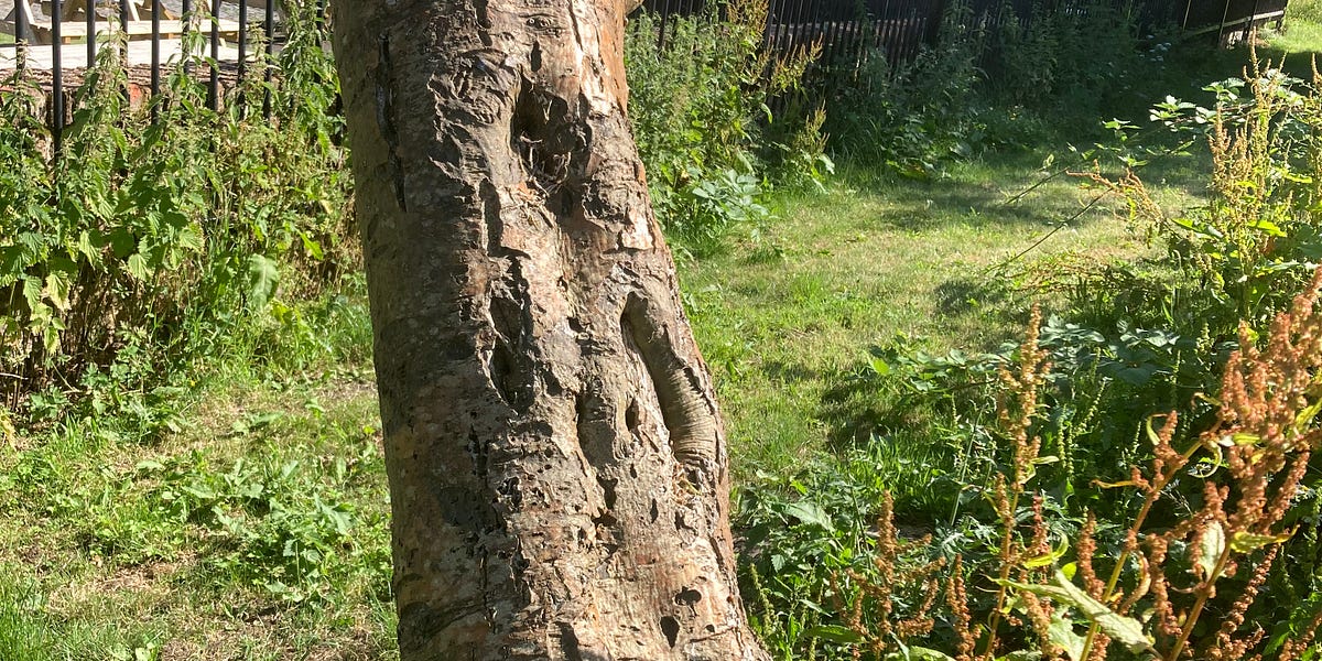 Lovecraftian entity spotted in Norris Green Park!