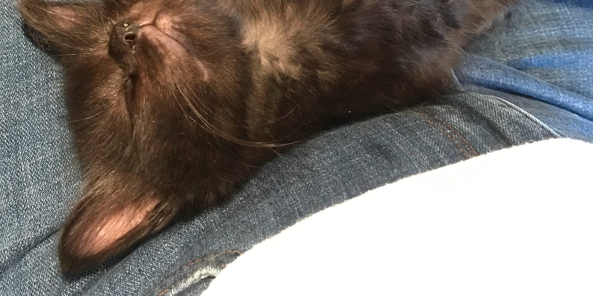 The veiled meaning behind 'family emergency' - by Joy V.