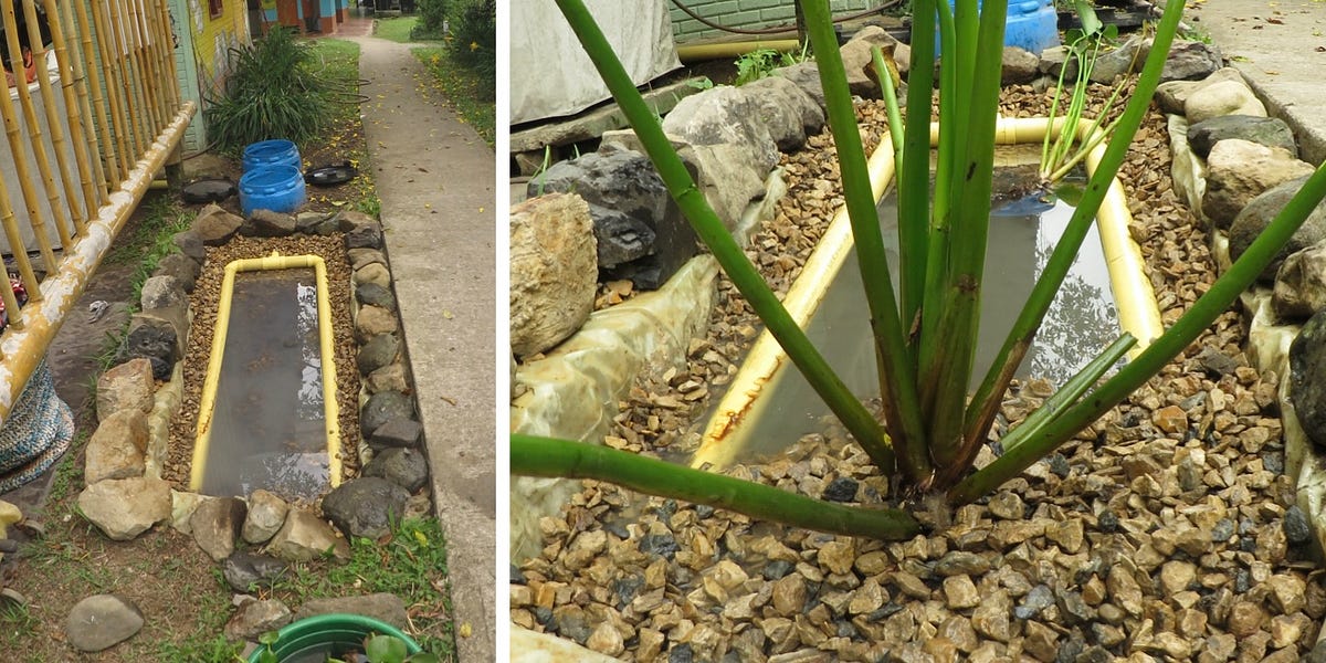 #126 Biofiltro: Plantación y puesta en marcha, otra vez...