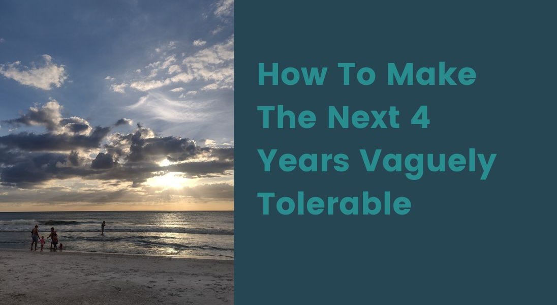 How To Make The Next 4 Years Vaguely Tolerable