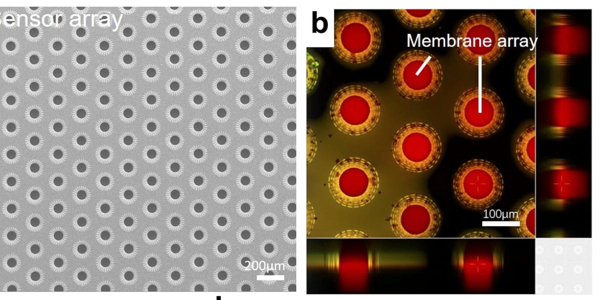 The BGI's CycloneSEQ Nanopore Sequencer - by Nava Whiteford