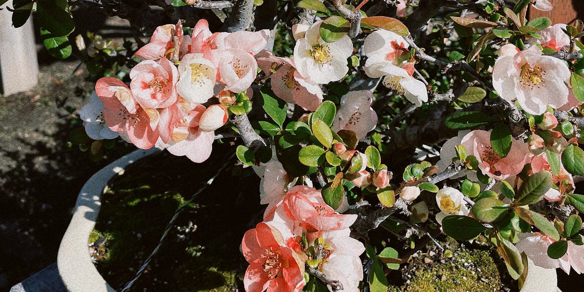 on time and task management - by kat fukui - kat is present