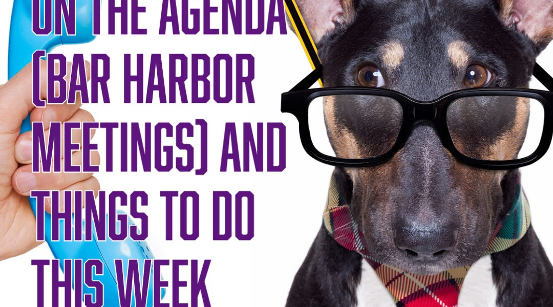 BAKED BEAN SUPPER, TOWN MEETINGS - Bar Harbor Story