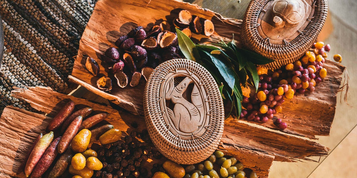 Aussie Bush Tucker - by J.P. - Bush Food Forager