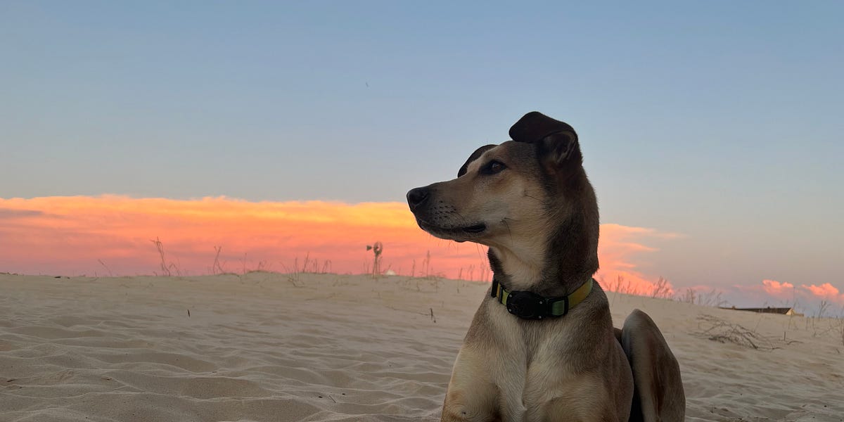 GDMBR Update #8 - by Tswoop