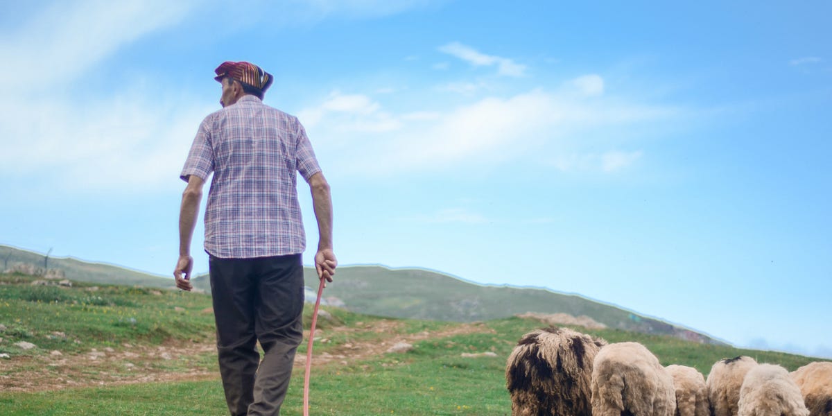 Modern Pastoral Poetry - by Joseph St. Cyr