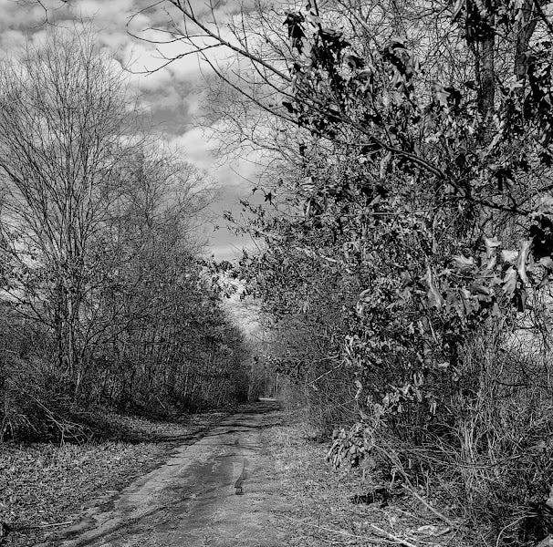 The Old Road - Frederick Fullerton's Mental Meanderings