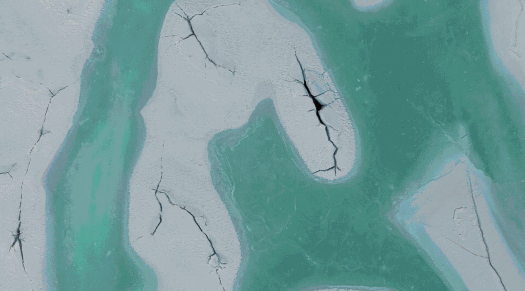 Over 100 artworks are available for minting during NFC Summit ! 🖼️