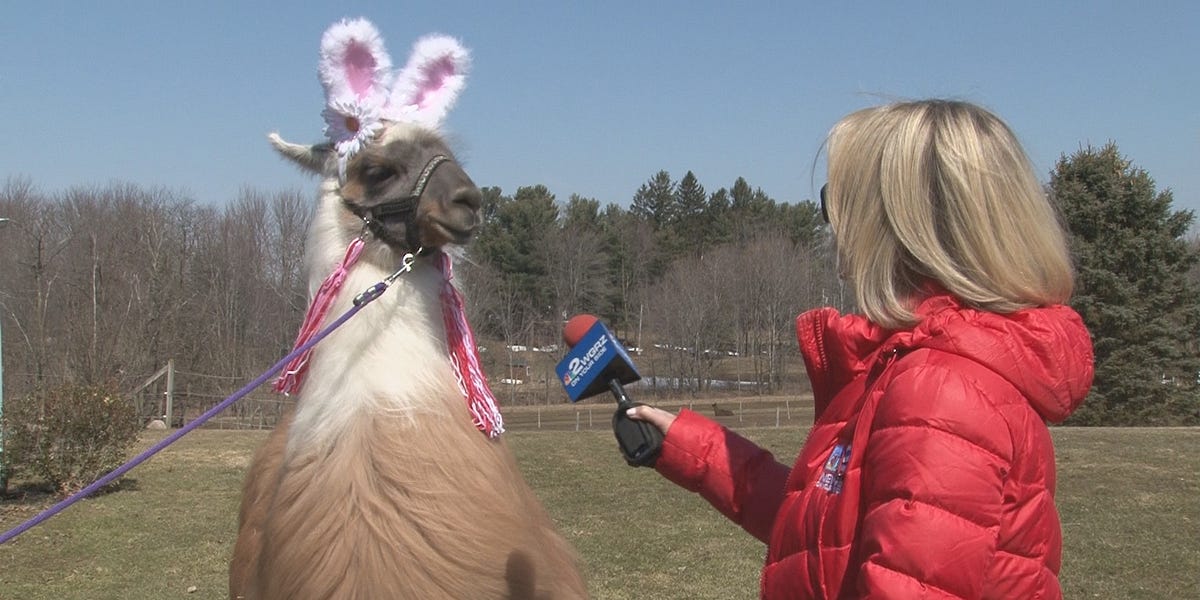 Day in the Life of a Local News Anchor