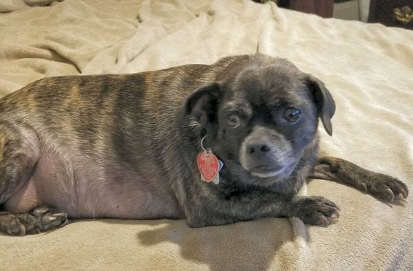 Wonkette's Top Ten Stories Of The Week Will Go On And On