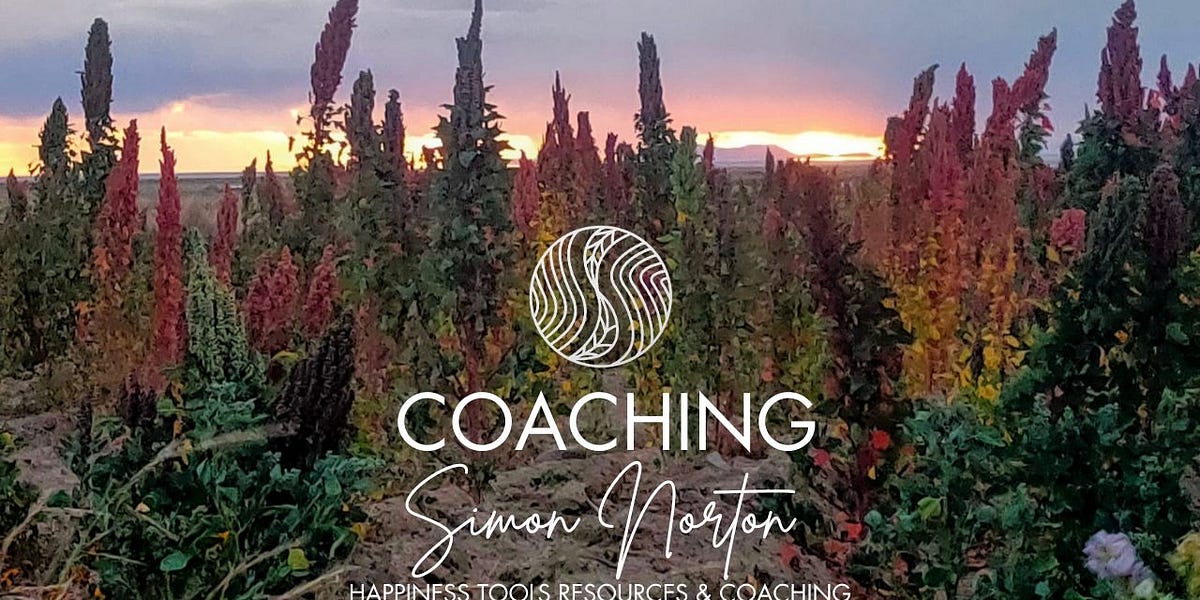 How humans create our reality