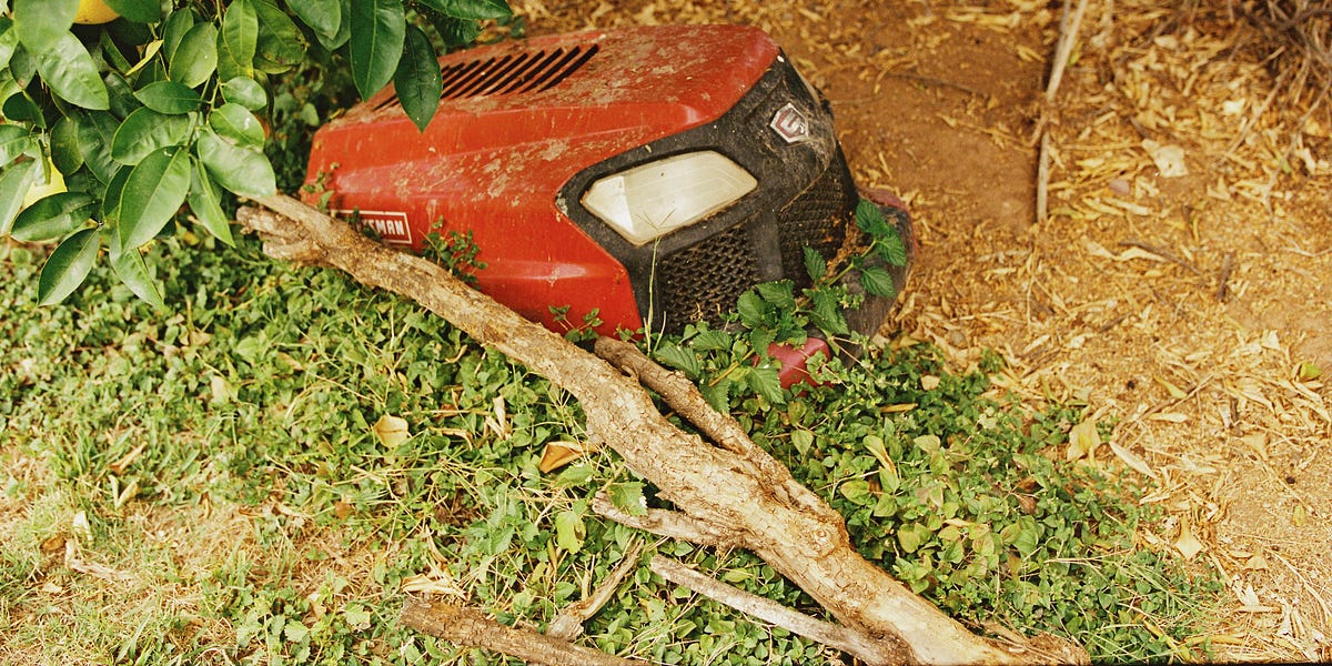 I'd Rather Have a Messy Yard Than an HOA