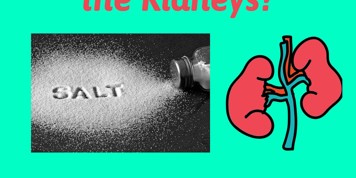 Does Salt Damage the Kidneys?