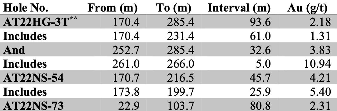 Junior Miners: Nevada King - John Rubino's Substack