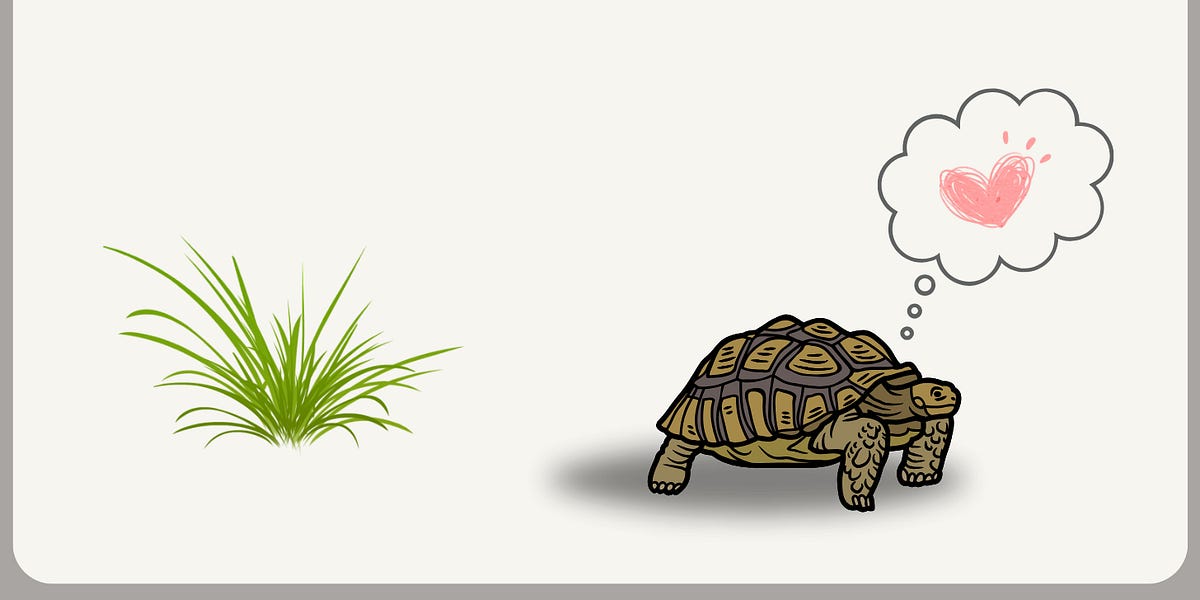 Turtle on the Loose—Origin Story - by Karin Crompton