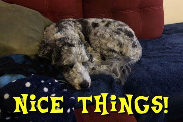 The Unbearable Niceness Of Things - by Doktor Zoom