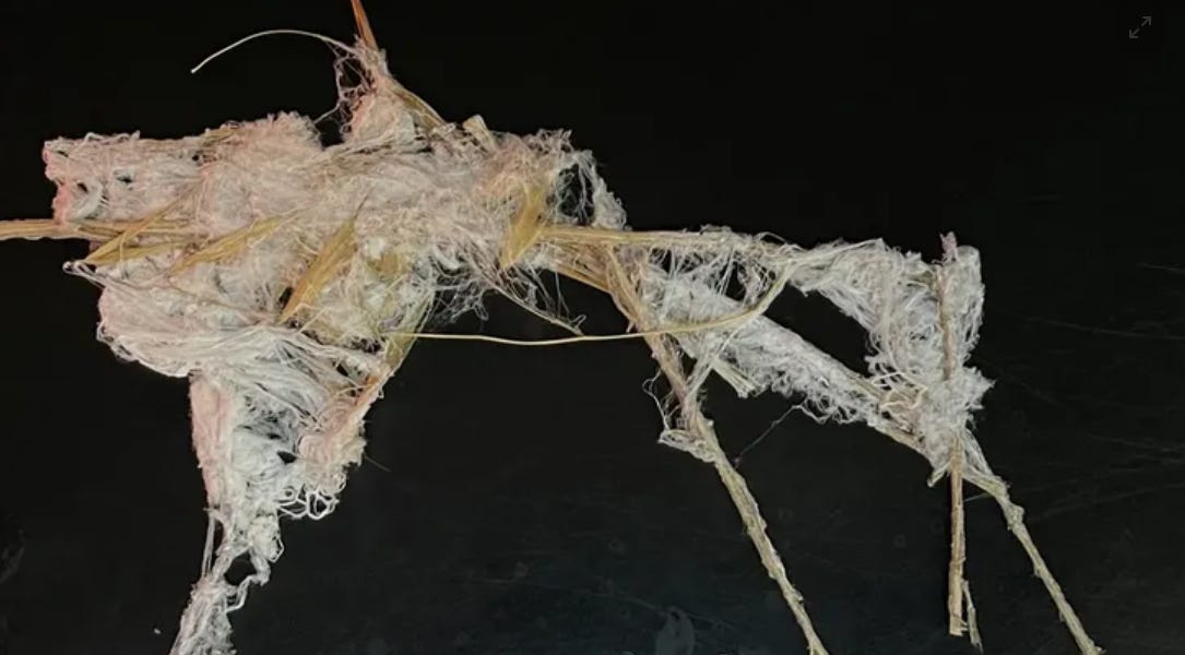 TOXIC SKIES: Spider Silk Polymer Sprayed Via Geoengineering Operations ...