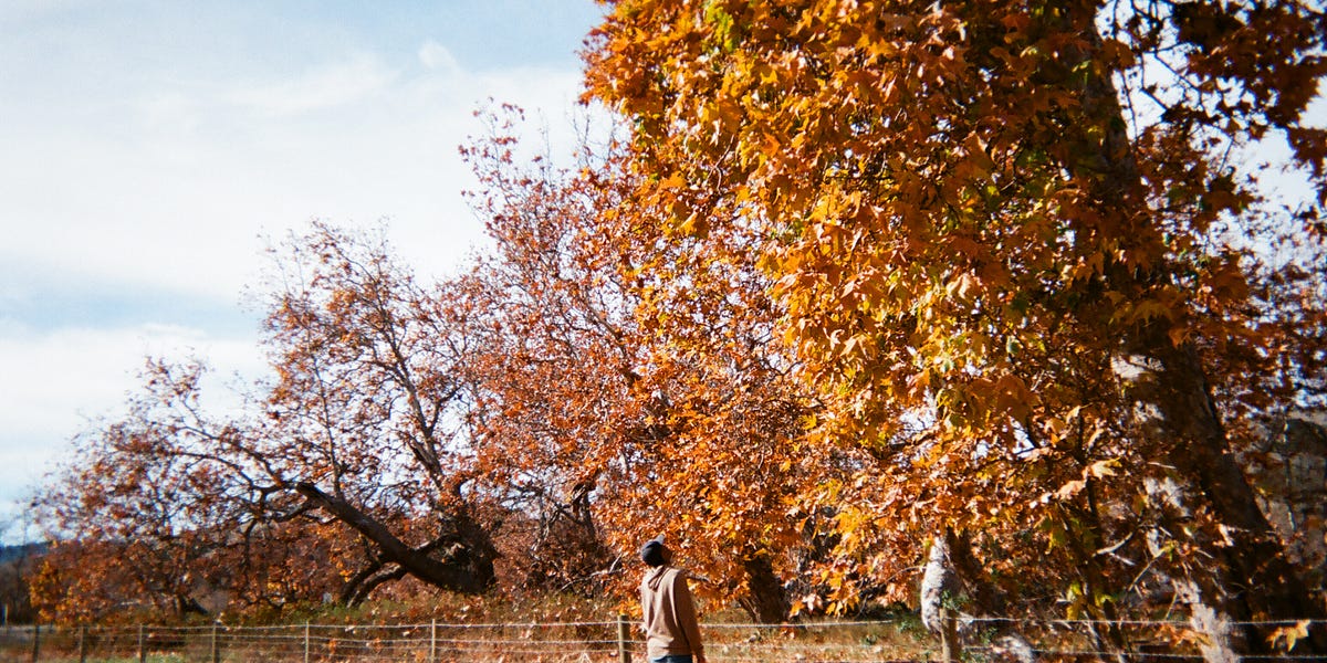 Run//Present - by Chad Okamoto - Views