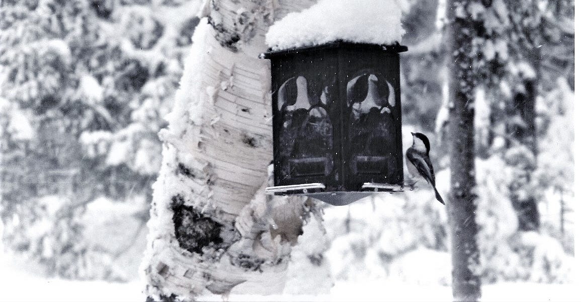 Smiling Through the Storm Warnings - by Ramona Grigg