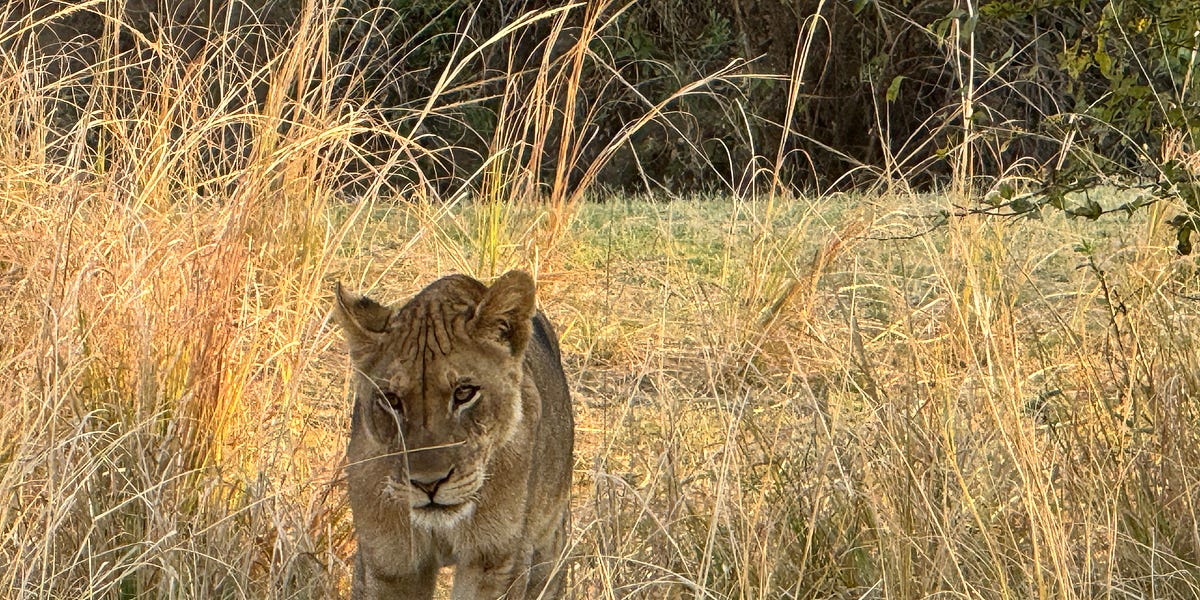 The Basics - Getting to Know Our Bodies