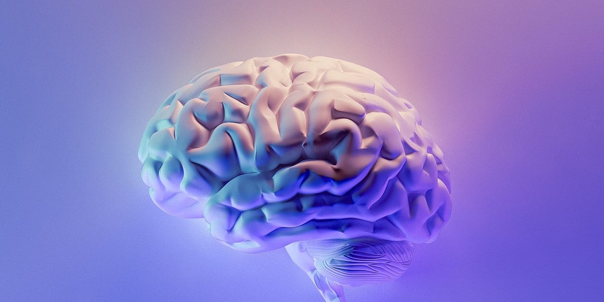 How to Program your Brain for Success | Substack