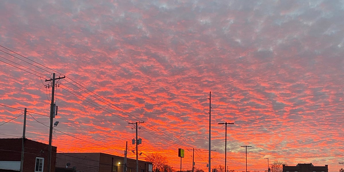 Why this, why now - by Bella Johnson - Bella’s Substack