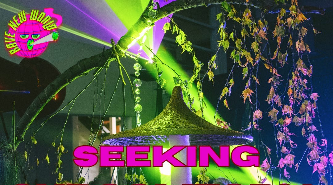 Super Sunday Substack Recommendations