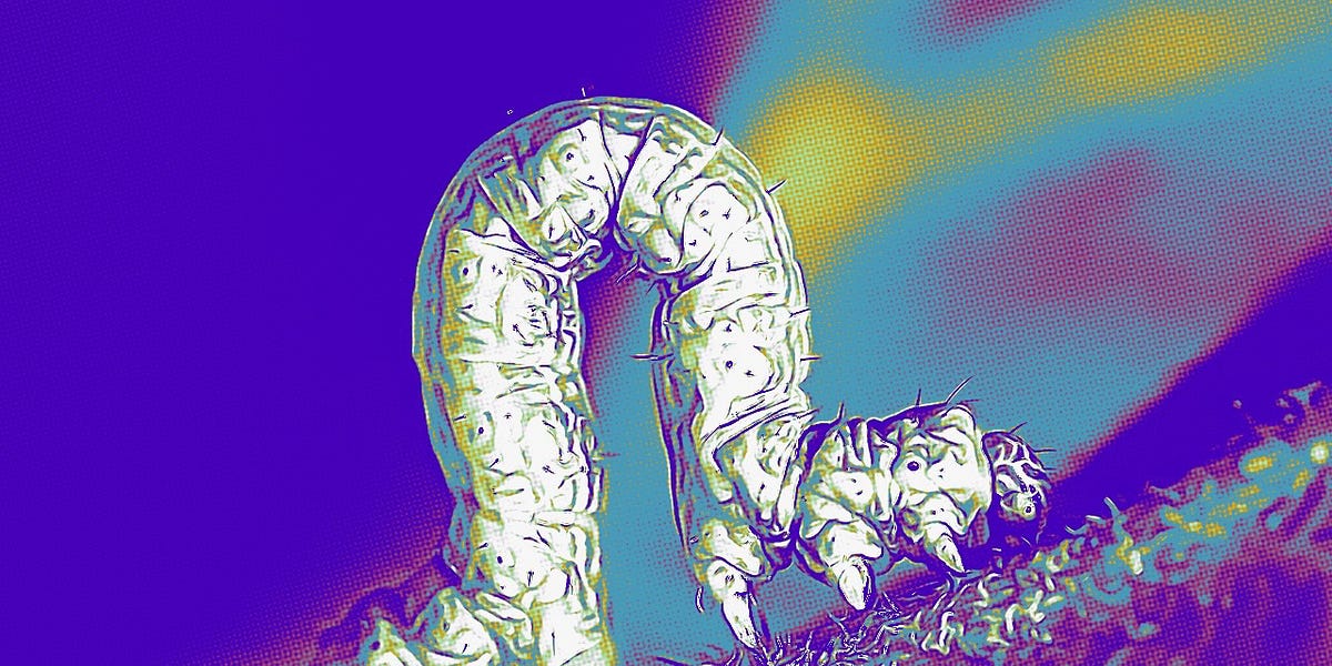 🌊 The Plunge #1: How to Incrementally Reinvent Your Career