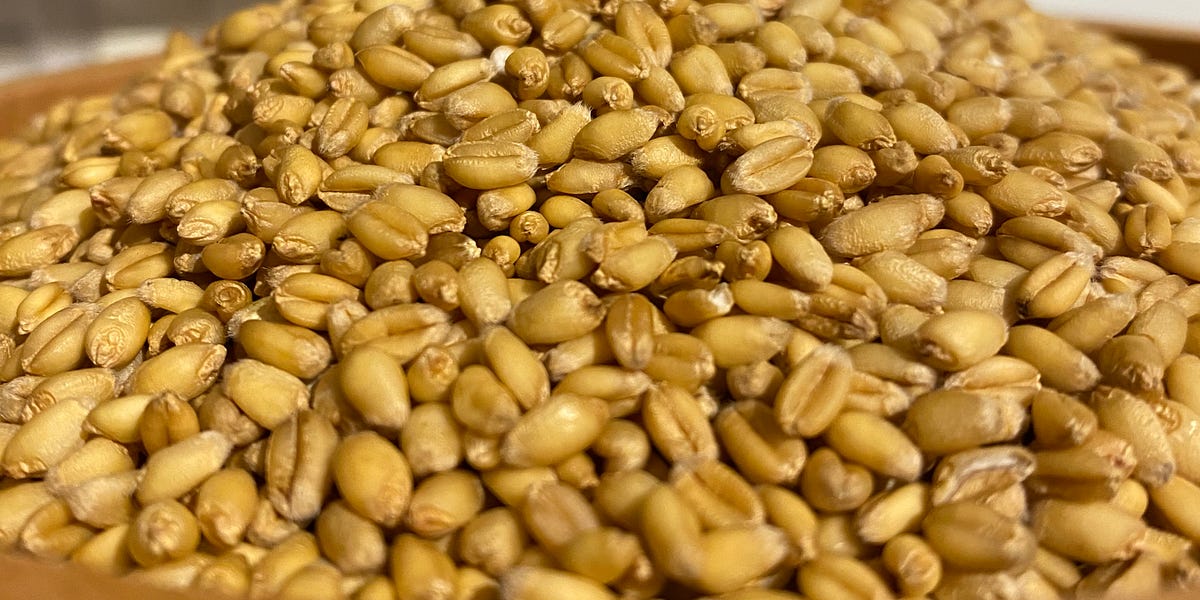 A vision for a whole grain future - by Tommy Aird