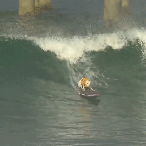 ¿Bilardo o Guardiola? 🎯 - by Tomas Pando - 🪂 Paracaideas